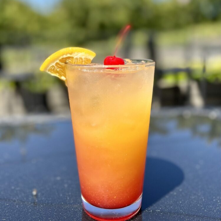 plank – Broadway – Oakland - Taco Tuesday